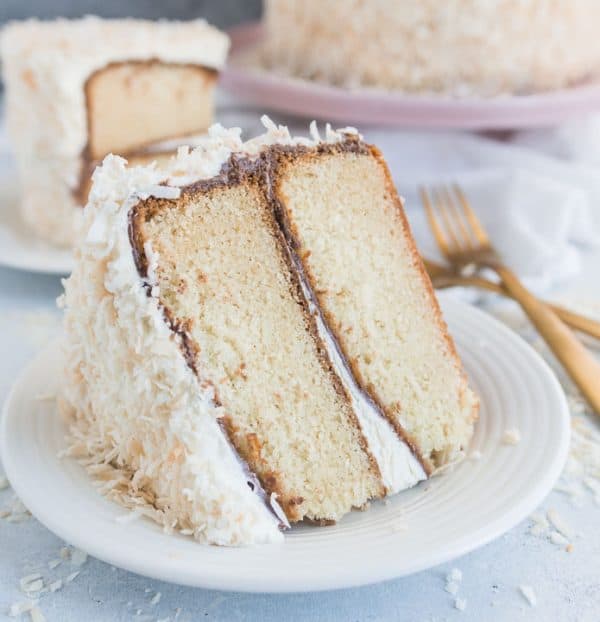 Coconut Nutella Layer Cake - The Itsy-Bitsy Kitchen