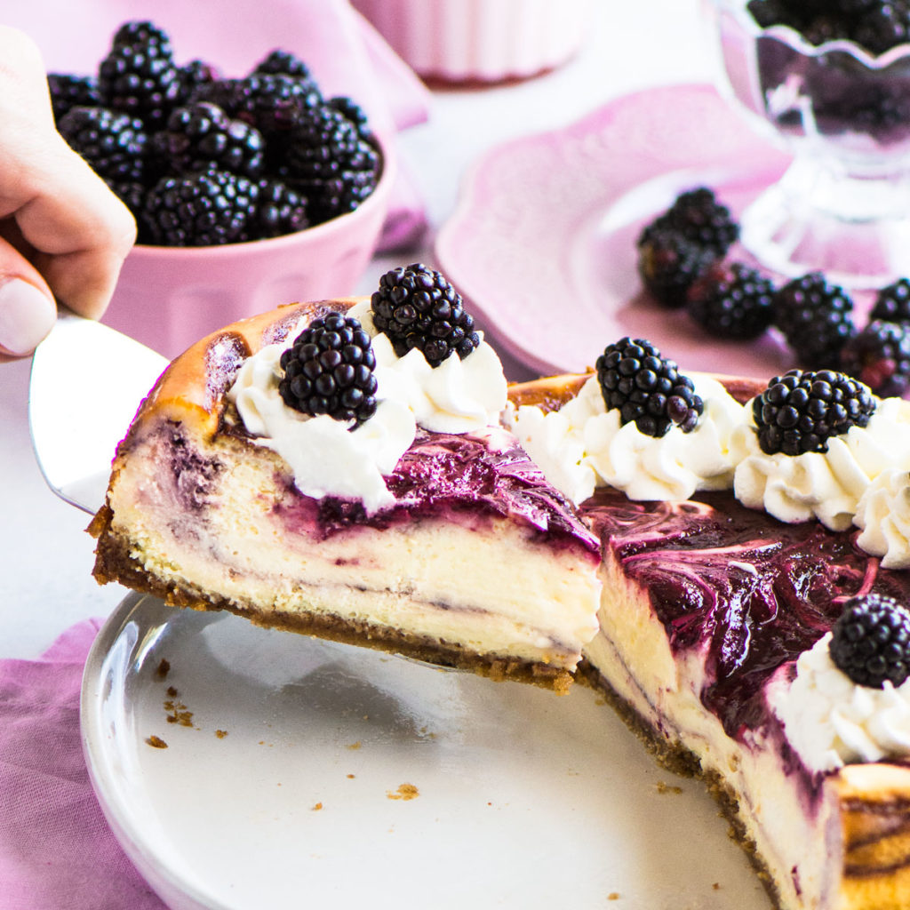 Blackberry Cheesecake The Itsy Bitsy Kitchen Blackberry Cheesecake The Itsy Bitsy Kitchen